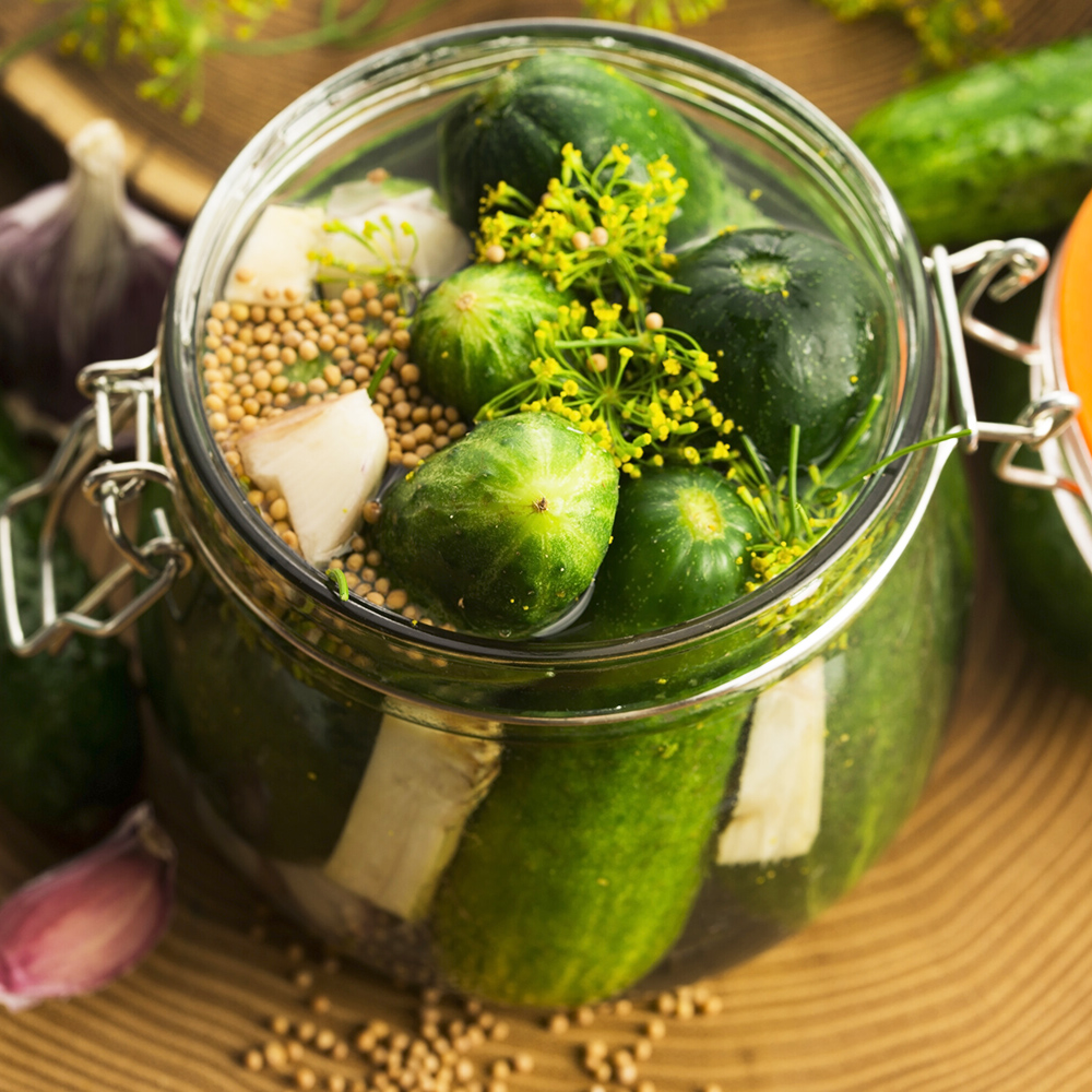 Condiments & Sauces Archives - European Food Express
