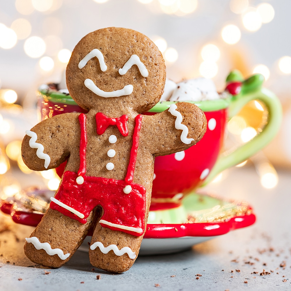 Snacks, Chocolate & Cookies Archives - European Food Express